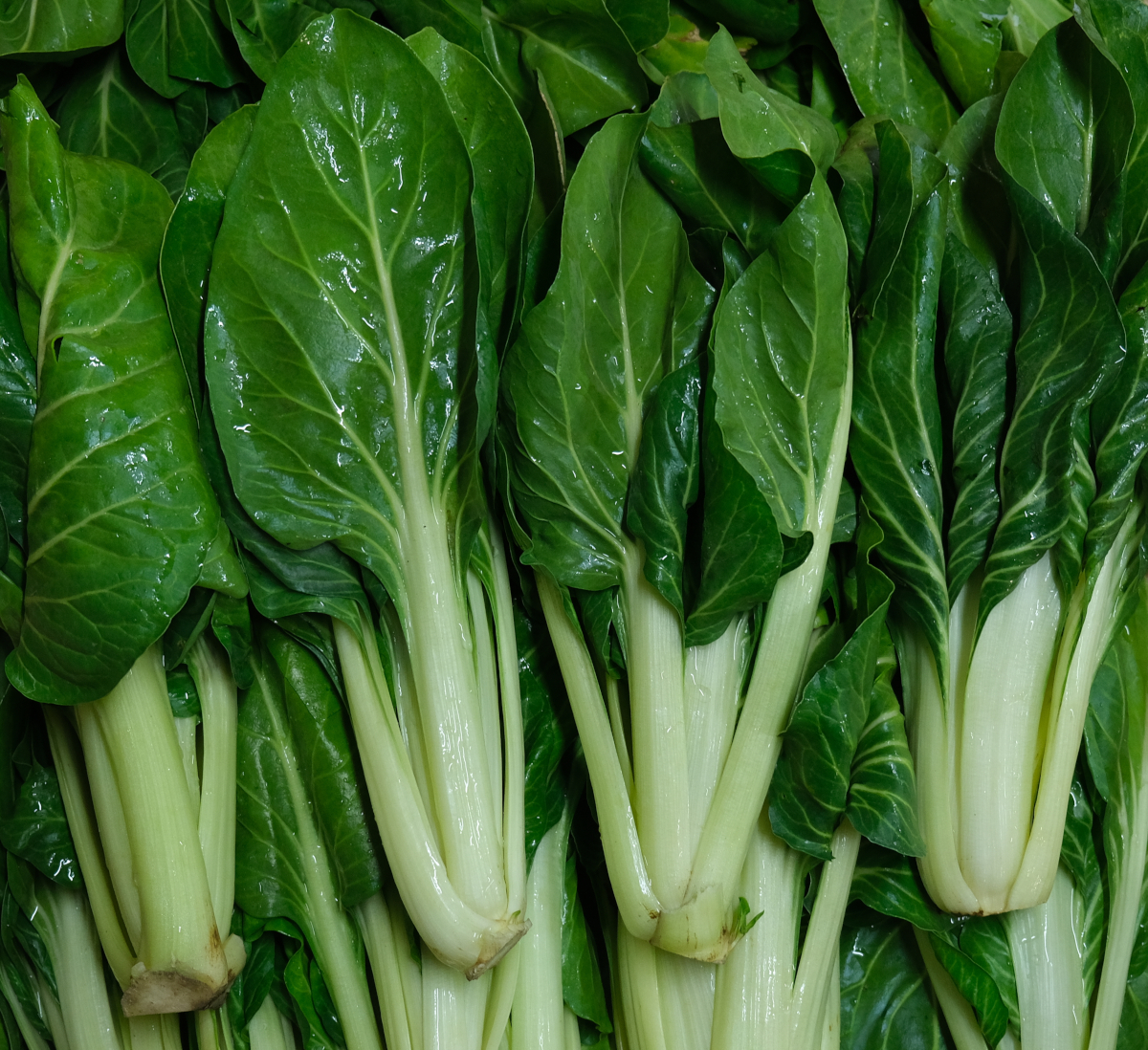 Archives des Les légumes-feuille - Ça se cultive